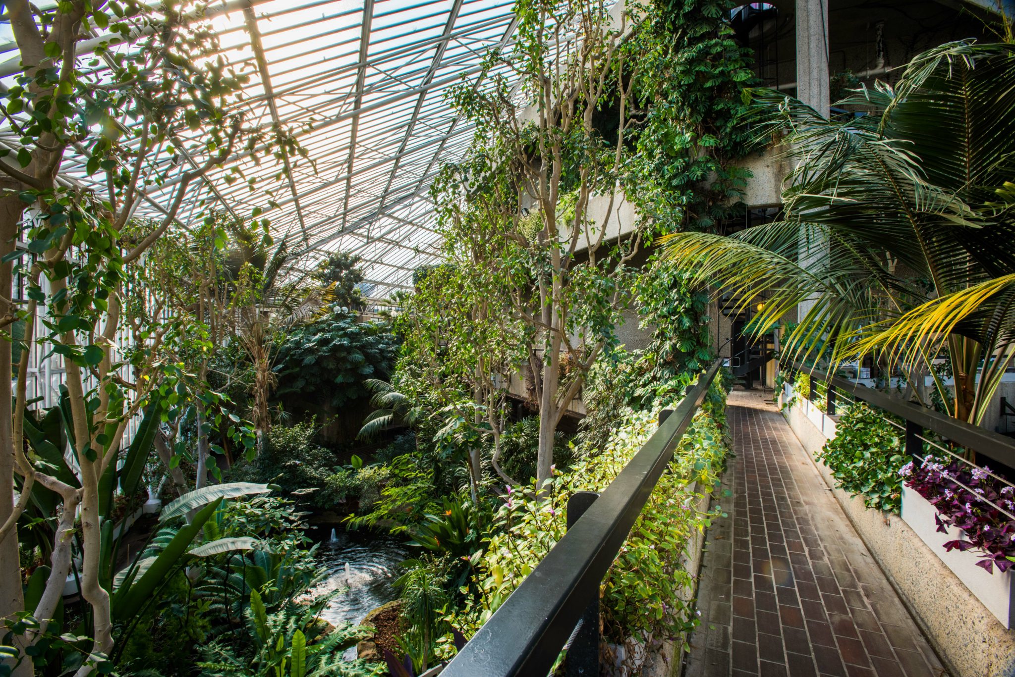 Private Dining Now Available at the Barbican Conservatory | Searcys
